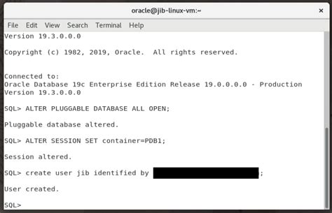 Install And Configure Obiee 12c On Linux Vm Install And Configure Obiee 12c On Linux Vm
