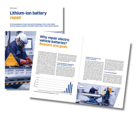 Whitepaper Battery Repair