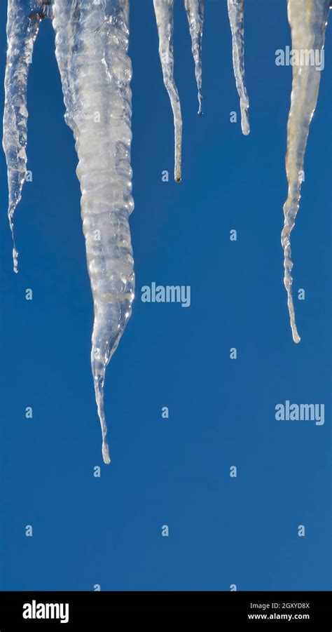 Vertical Shot Of Melting Multiple Icicle Hanging Top Down On Blue Sky