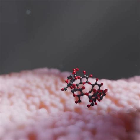 Beta Cyclodextrin Lipid Bilayer Youtube