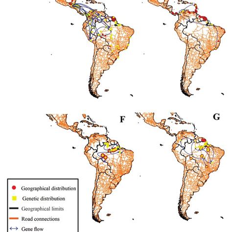 And 2 Geographic Distribution • Genetic Distribution • Road