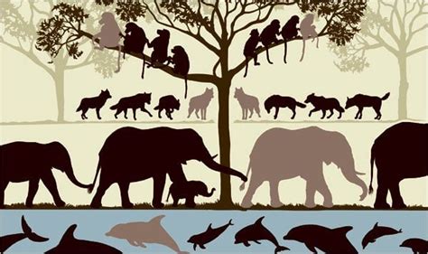 Programmer Dictionary Class Vs Type Vs Object Rcoding