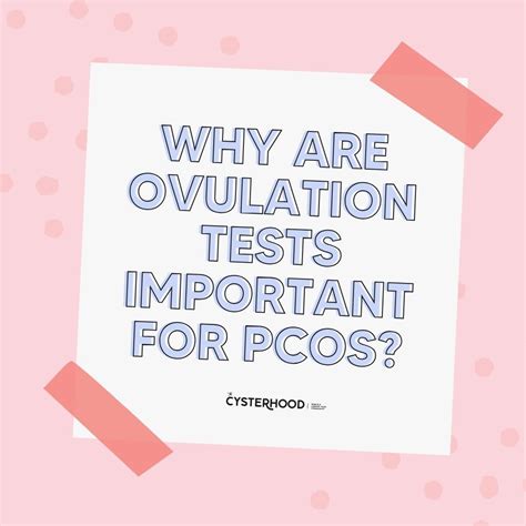 Ovulation Tests Are Super Useful When Trying To Get Pregnant