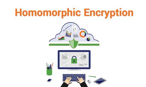 Homomorphic Encryption Privacy Preserving Data Computation