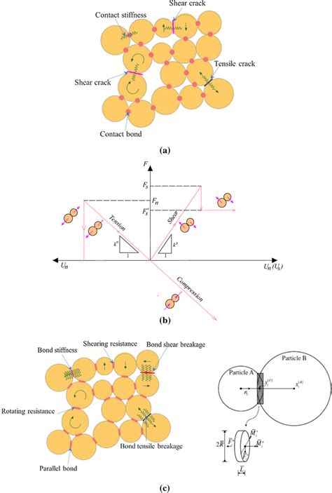 Contacted Models 30 A Contact Bond Model B Constitutive Behavior C