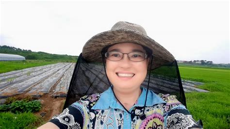 토마스 교육치유농장 ♤ 가을 해바라기 기대됩니다~ 옥수수는 이모작이 된다했고~~ 해바라기는 꽃만