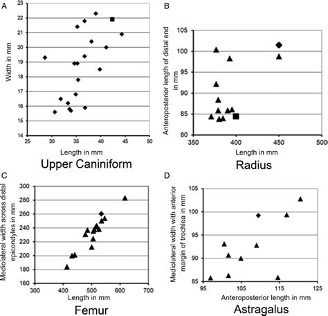 Bivariate Plots Comparing The Adult Megalonyx Jeffersonii From Tarkio