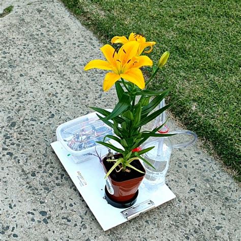 Sistema De Irrigação Com Arduino Sustentabilidade Robótica