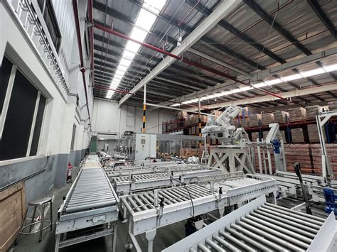 Palletizer System Palletizer System