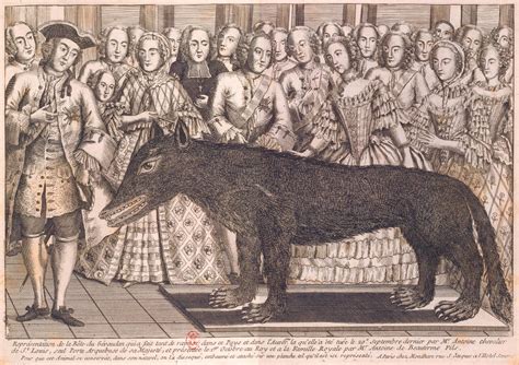 La Bête Du Gévaudan Lelivrescolairefr