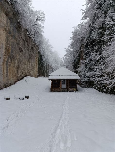 კაფე კანიონში