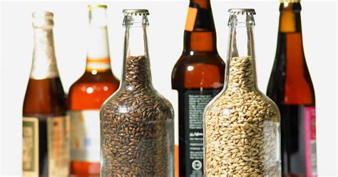 Beer Barley And Malt Analysis At Campden Bri