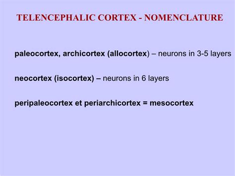 Paleocortex Archicortex Allocortex Neurons In 3 5 Layers Neocortex