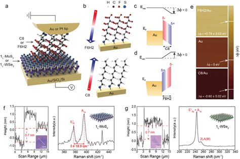 Molecular Heterojunctions With Opposite Orientations Of The Molecular Download Scientific