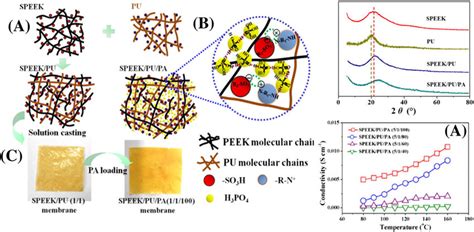 Schematic Representation Of The Overall Membrane Fabrication Procedure Download Scientific