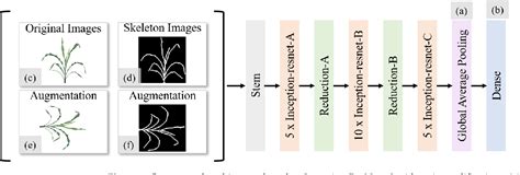 figure 1 from leaf counting in monocot plants using deep regression