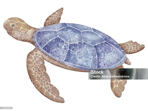 수채화 바다 거북이 보육원 벽 예술 장식 또는 베이비 샤워 초대장 및 인사말 카드 파스텔 색상의 수중 거북이 그림은 어린아이 같은 디자인이나 어린이 포스터를 위해 사용됩니다