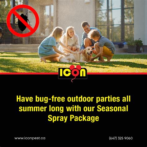 Effective Ant Control Strategies For A Pest Free Home Pest And Wildlife Removal Toronto Icon Pest