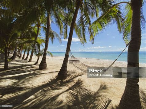 야자수 숲에서 편안한 해먹 하얀 모래 해변의 아름다운 풍경 청록색 바다와 푸른 하늘을 배경으로 보트 여행과 레저의 개념 0명에