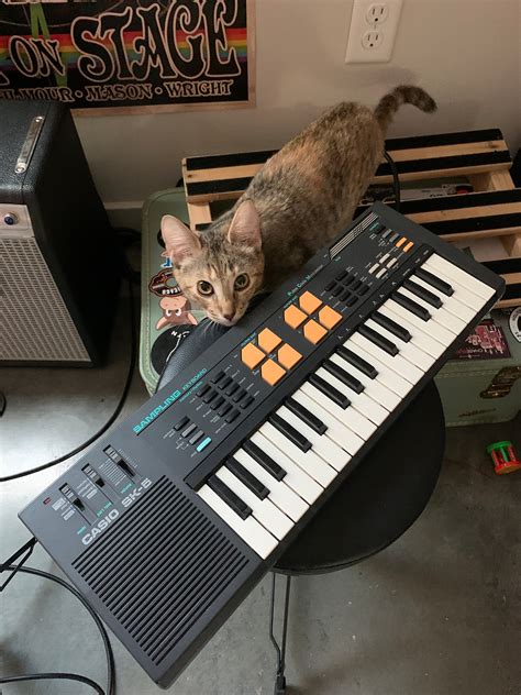Casio Sk 5 32 Key Sampling Keyboard Catsynth