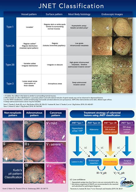 Colorectal Lesions Jnet Classification Type 1 Grepmed
