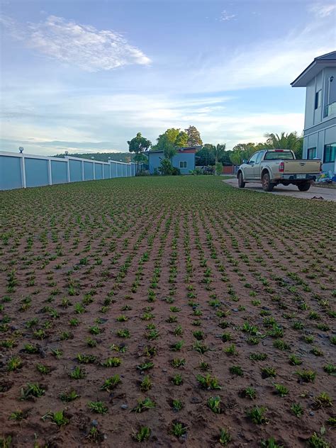 หลอดประหยัดไฟ หลอดไฟledทุกชนิด สปอร์ตไลท์ ป้ายไฟฉุกเฉิน ราคาถูกสุดในไทย หลอดประหยัดไฟ