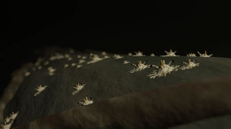 eevee render engine hair particle system rotation is not working