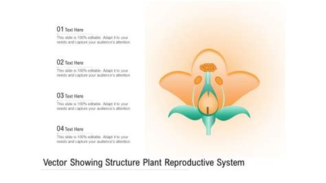 Reproductive PowerPoint Templates Slides And Graphics