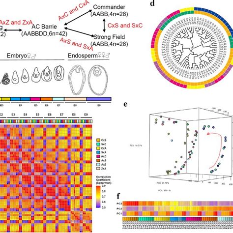 Transcriptome Wide Landscape Of Gene Expression Profiles During Download Scientific Diagram