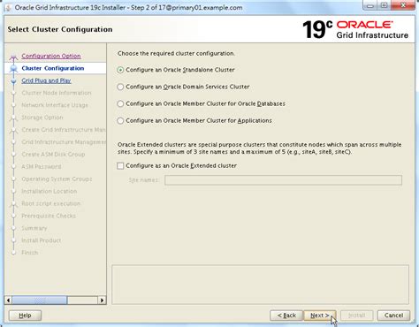 how to build 19c rac 2 of 4 installing grid infrastructure how to sop