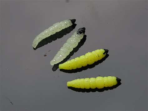 晨洋盒装蛆虫 路亚软饵蛆面包虫大豆虫饵3cm30只装假饵拟饵鱼饵 阿里巴巴