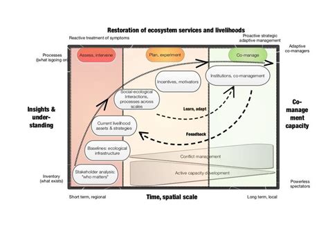 Conceptual Framework For Implementation Phases Download Scientific