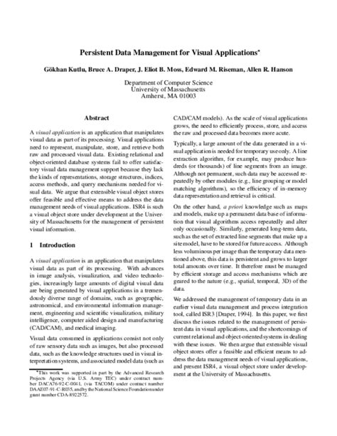 Pdf Persistent Data Management For Visual Applications