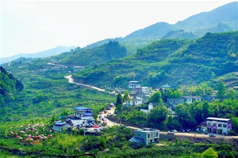 简阳樱桃沟旅游区潮成都人气打卡地