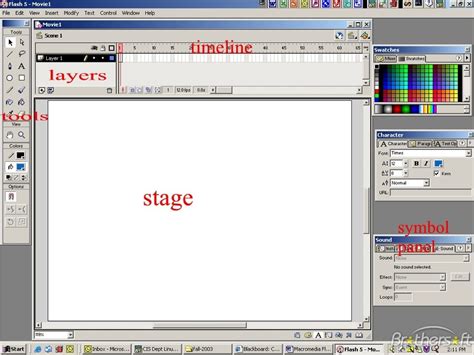 Diky D Ulo Macromedia Flash