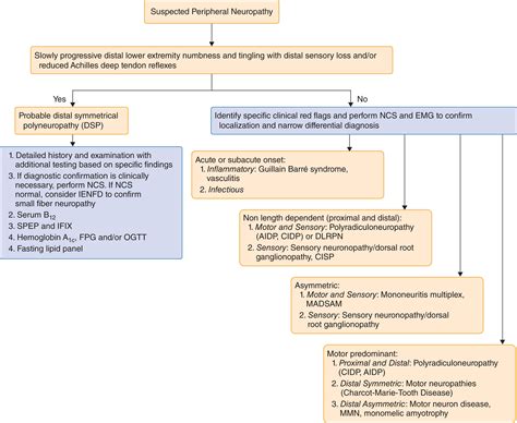Peripheral Neuropathies Clinical Tree