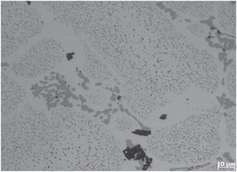 Optical Microstructure Of As Solutionized Al 5cu 1mn 0 5ni 0 5mg Alloy Download Scientific