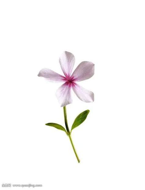 剑桥少儿英语 Movers口语测试 知乎