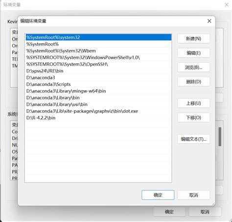 failed to create process while using r extension at vscode platform stack overflow