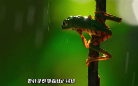 玄学 自我 痛与乐 活着 哔哩哔哩