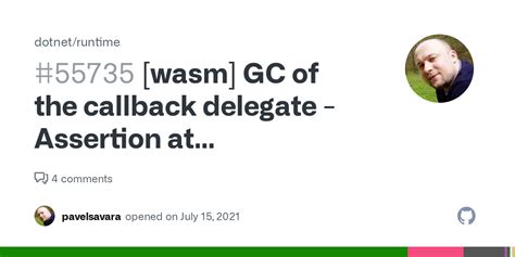 Wasm GC Of The Callback Delegate Assertion At Mono Metadata Class