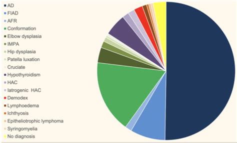 Lecture 9 Chronic Pododermatitis With Interdigital Furunculosis Cpif