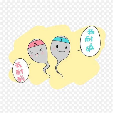 卡通x精子和y精子png图片素材下载图片编号qndmmarq 免抠素材网