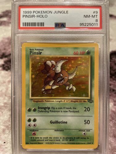 1999 Pokémon Jungle 9 Pinsir Holo Psa 8 Ebay
