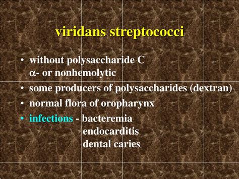 Ppt Streptococci Enterococci Powerpoint Presentation Free Download Id 4626866
