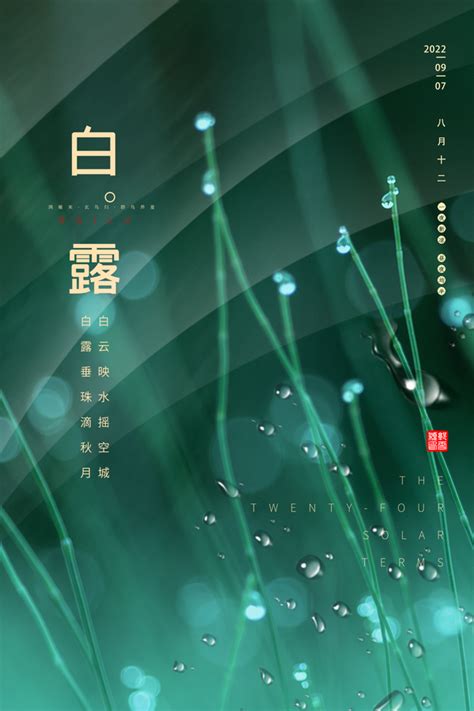 二十四节气白露蒹葭苍苍白露为霜 知乎