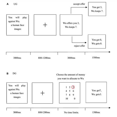 Schematic Structure Of Behavioral Experimental Paradigm The