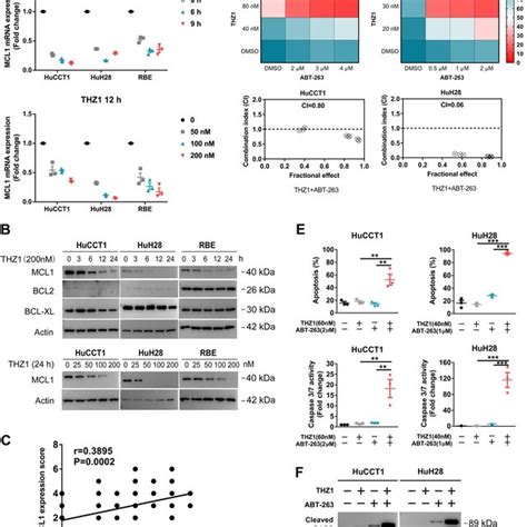 CDK7 Expression Is Upregulated In CCA A CDK7 MRNA Expression Profile Download Scientific