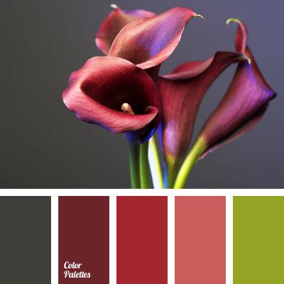 Carmine Color Palette Ideas For Your Inspiration