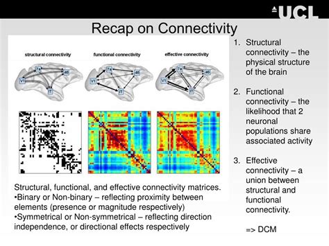Ppt Dynamic Causal Modelling For Fmri Powerpoint Presentation Free Download Id5676054